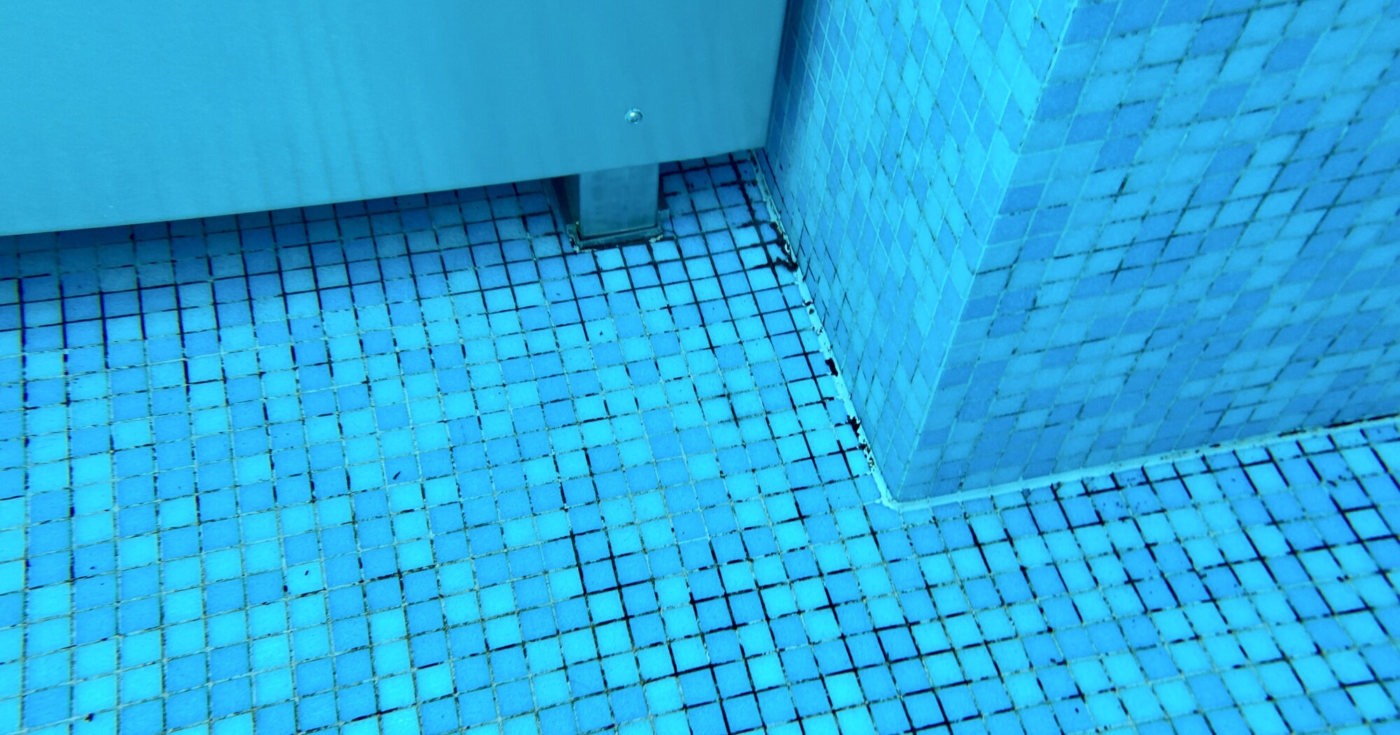 Einfachschwimmen 🏊 - Schimmel & Biofilm im Pool und Schwimmbad ...